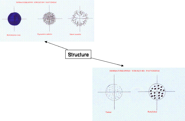 ABCD method for screening skin cancer - Do It Easy With ScienceProg