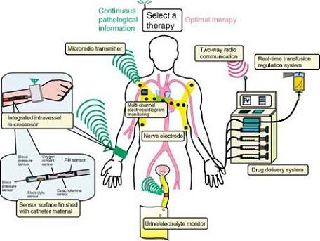 Biosignal Properties - Do It Easy With ScienceProg